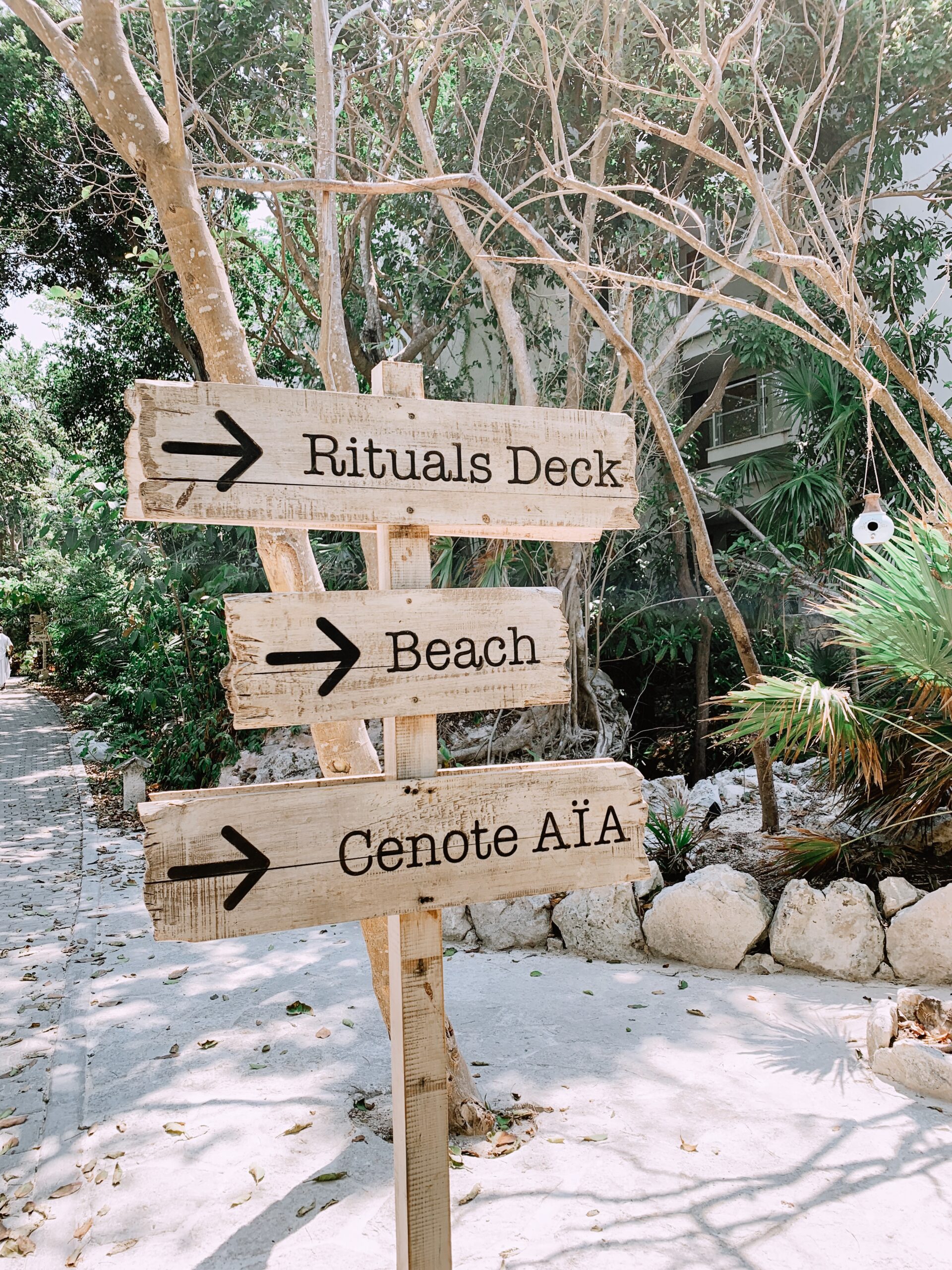 Go Tulum Travel's Guide: Eat, Stay, and Play | Go Tulum Travel.