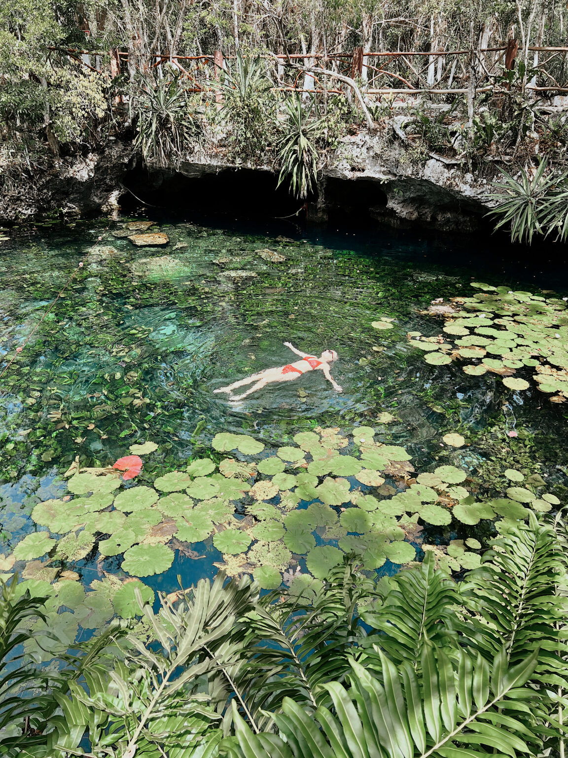 Best Cenotes in Tulum | Go Tulum Travel