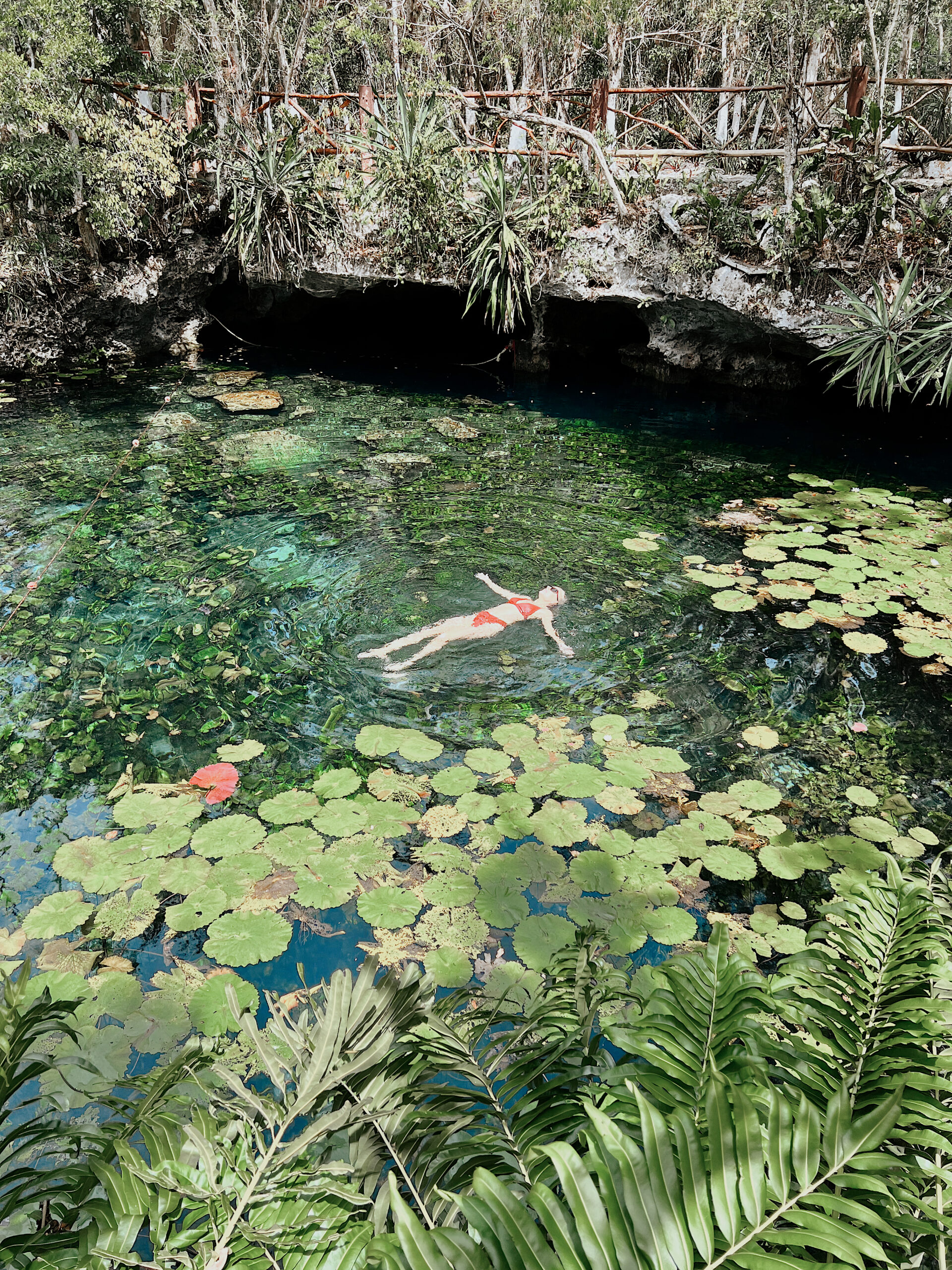 Best Cenotes in Tulum | Go Tulum Travel